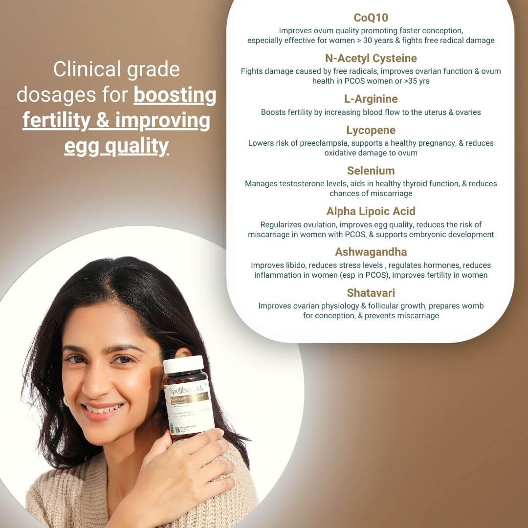 Conception Support – Spellbound